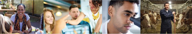 HR Solutions - ActionHRM